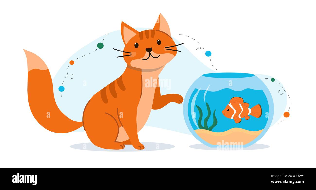 The cat goldfish Cut Out Stock Images & Pictures - Alamy