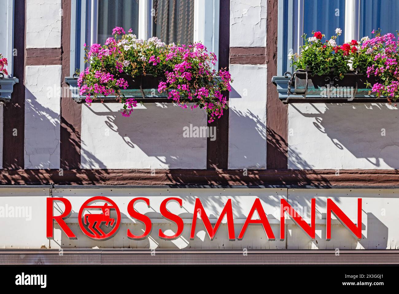 Rossmann logo hi-res stock photography and images - Alamy