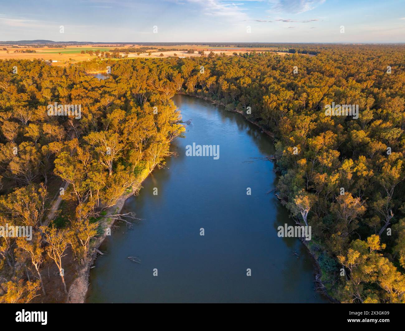 Aerial view of a wide river lined with gum trees in morning sunshine ...