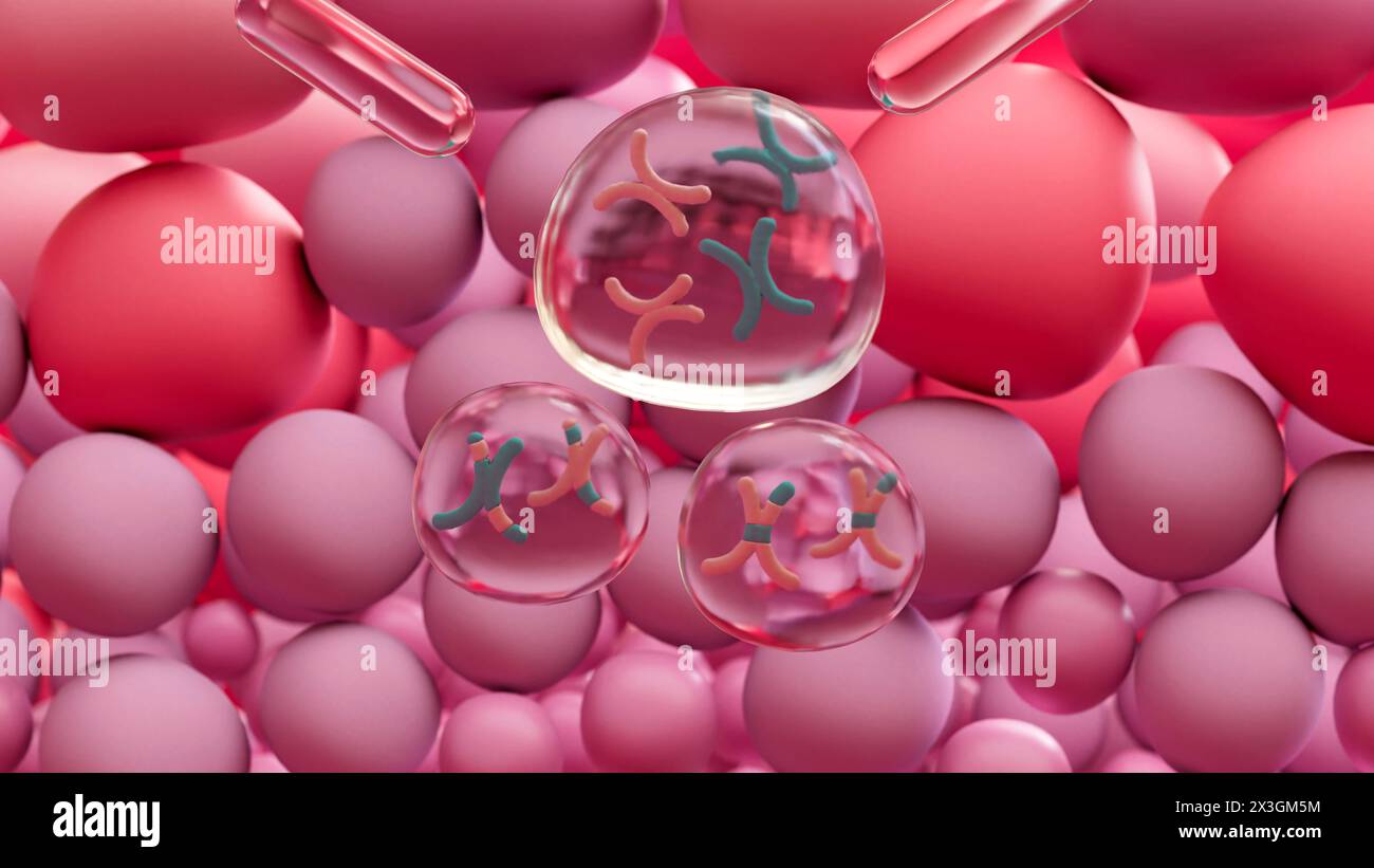 Illustration of primary (top) and secondary (bottom left and right ...