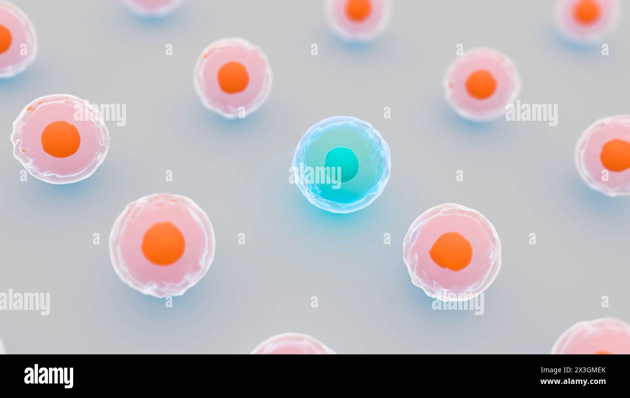 Cell type identification, conceptual illustration Stock Photo - Alamy Cell type identification, conceptual illustration Stock Photo - Alamy