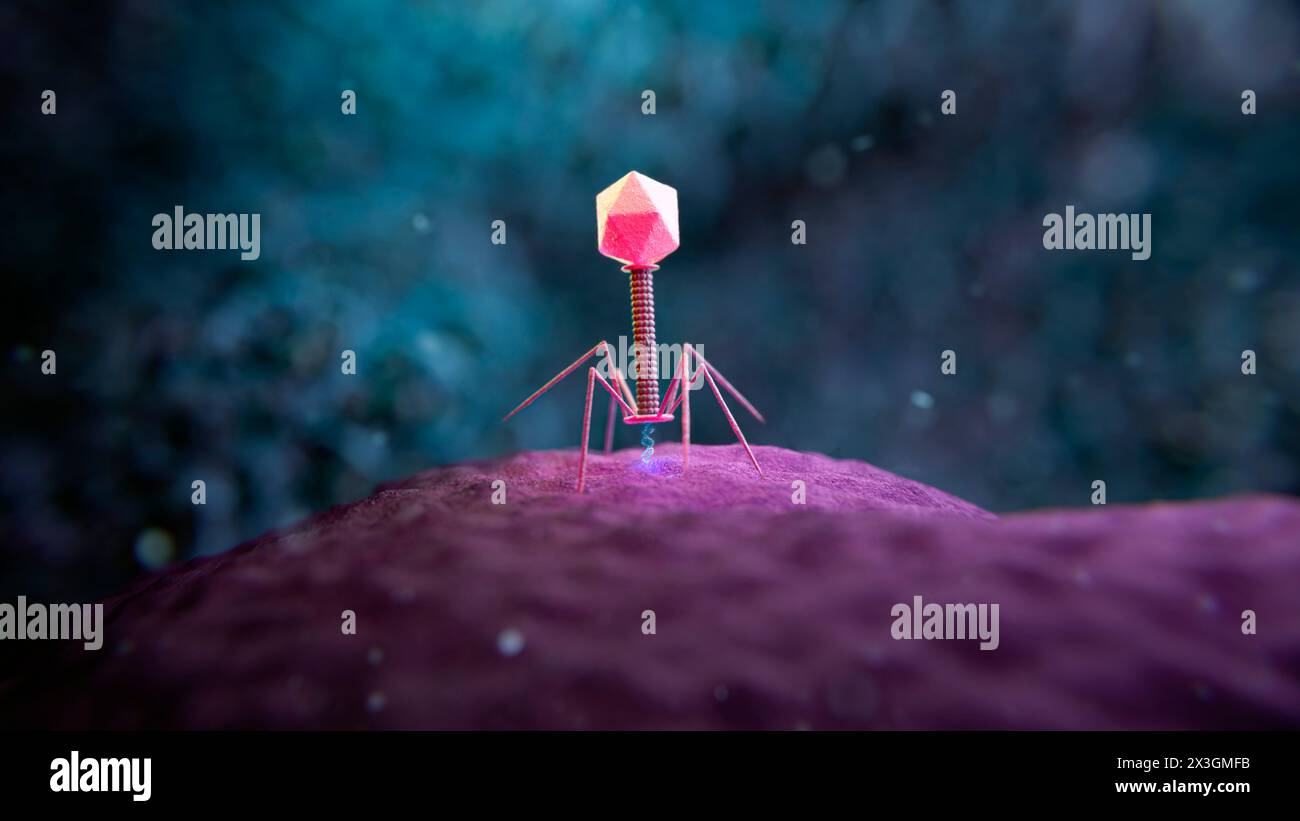 Illustration Of A Bacteriophage Phage Transferring Its Dna Deoxyribonucleic Acid Into A New 