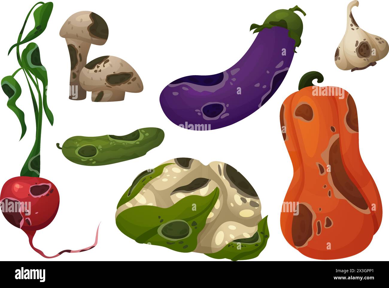 Fungal spots Stock Vector Images - Alamy