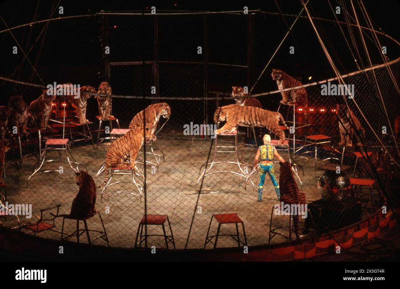 Ringling Bros. and Barnum & Circus Tiger show mid 1980's Stock Photo ...