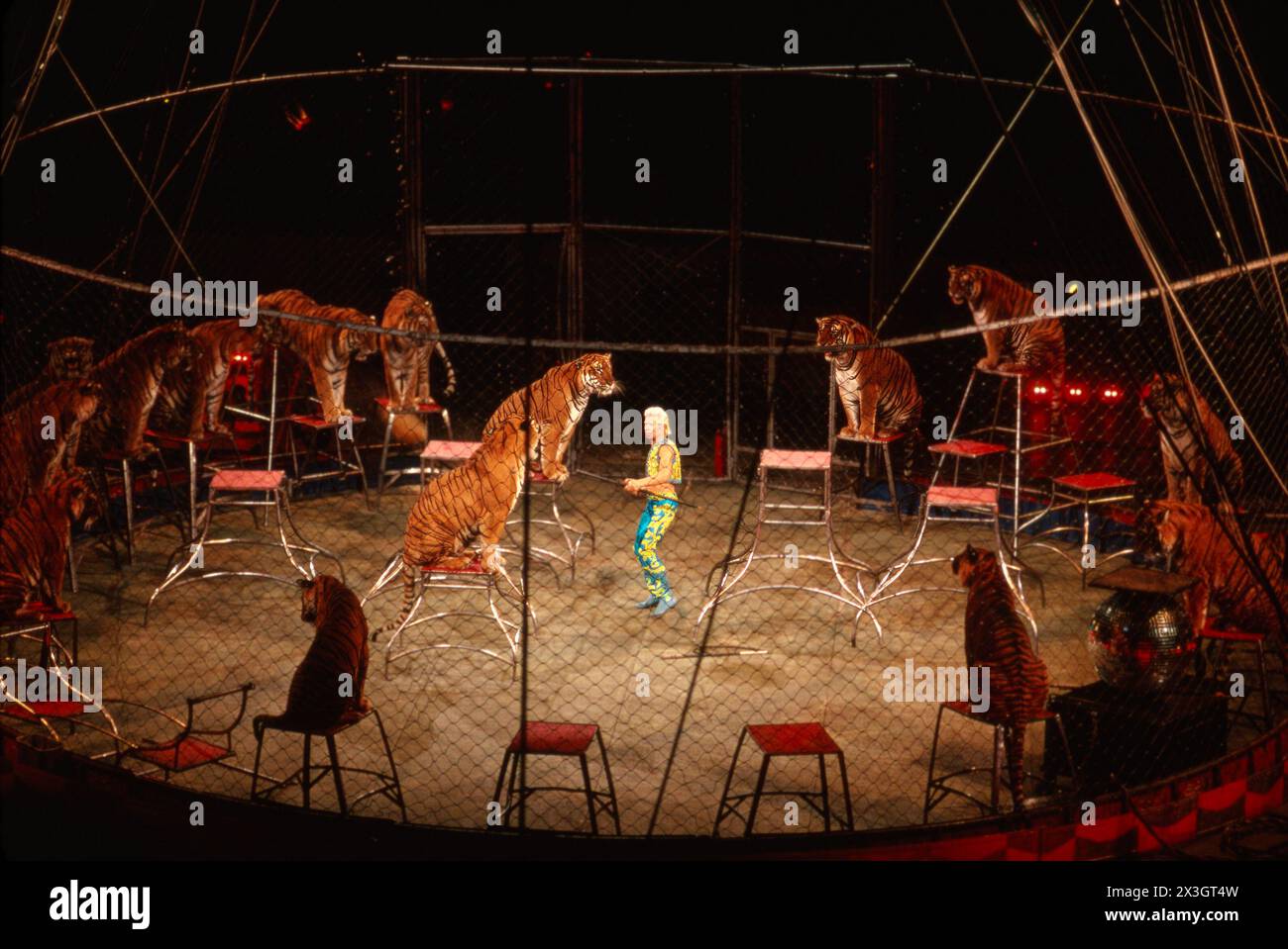 Ringling Bros. and Barnum & Circus Tiger show mid 1980's Stock Photo ...