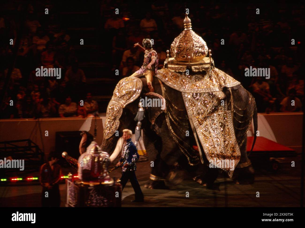 Ringling Bros. and Barnum & Circus, mid 1980's "King Tusk Stock Photo ...