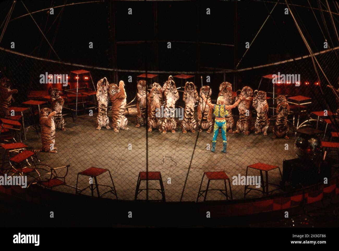 Ringling Bros. and Barnum & Circus Tiger show mid 1980's Stock Photo ...