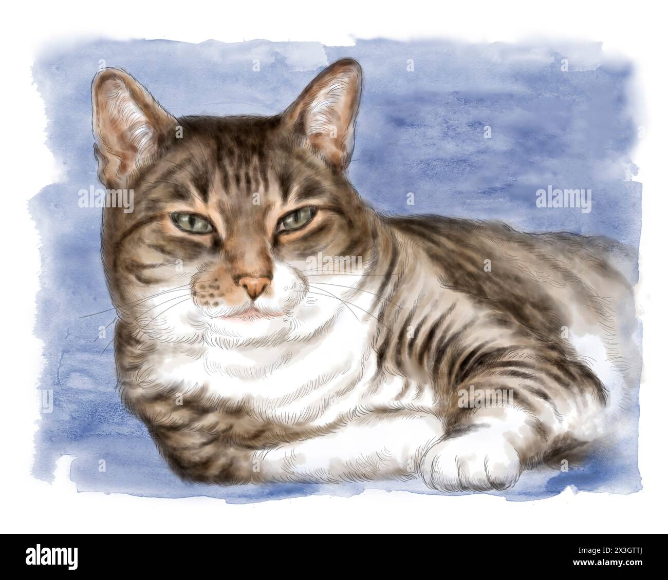 Portrait of a cute gray tabby cat with paws. Artistic watercolor painting. Domestic pet animal ...