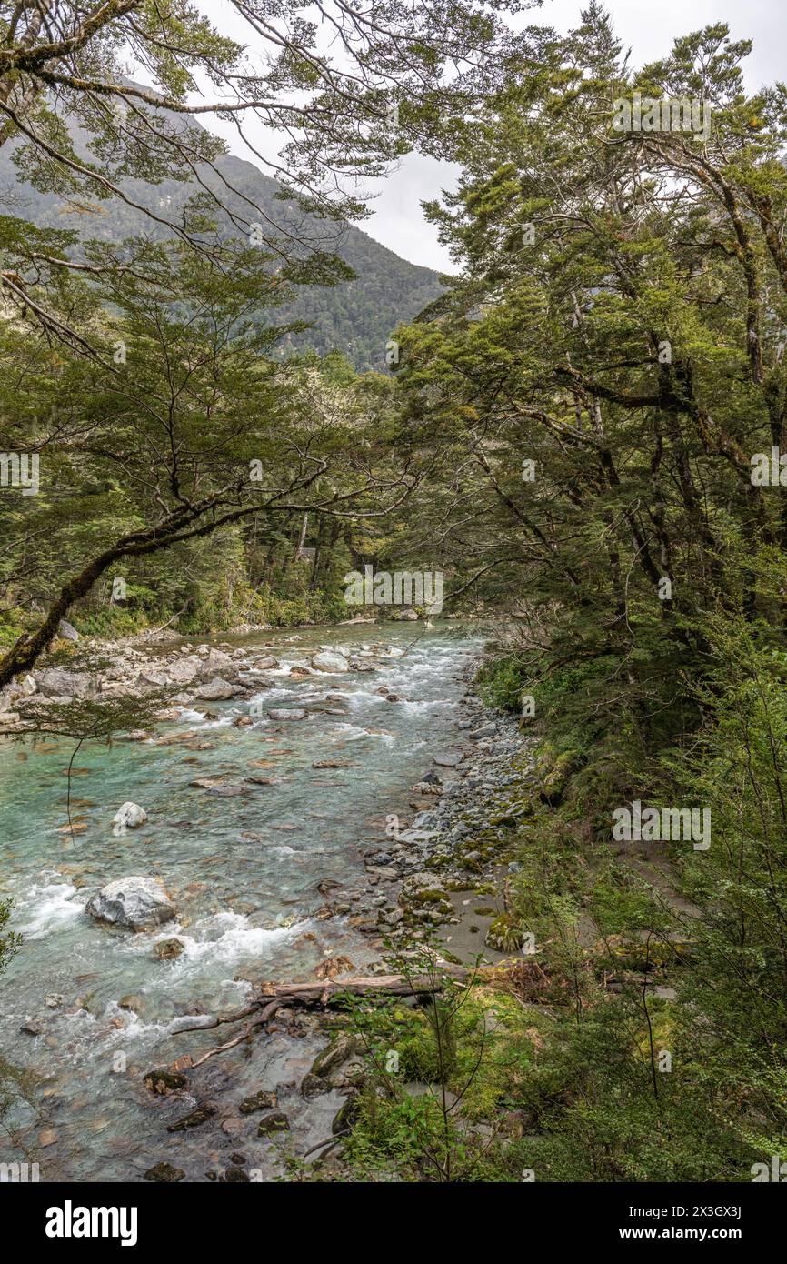 river in the dart river valley viewed from the Routeburn track Stock ...