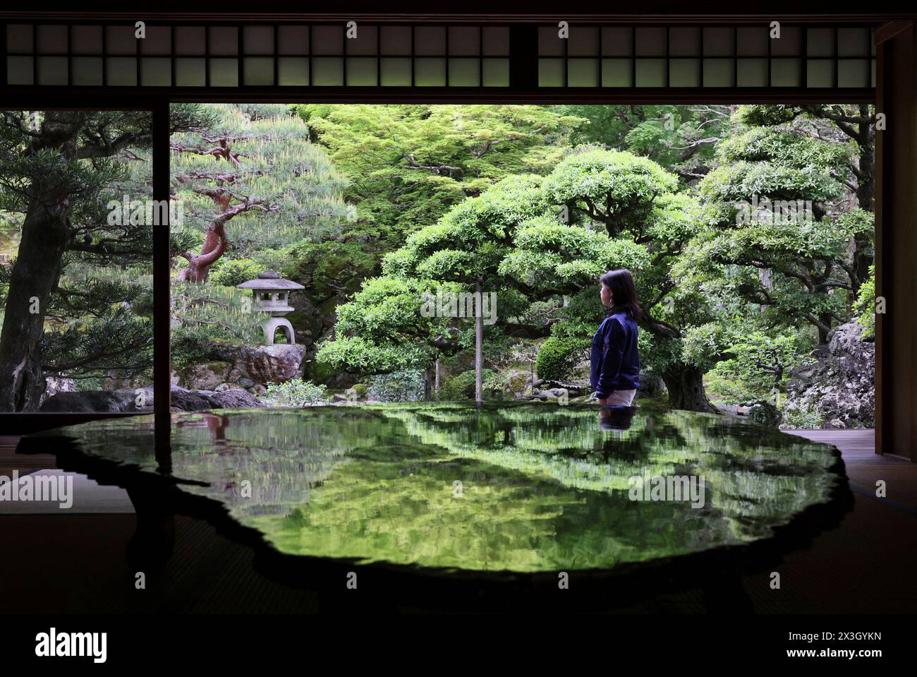A photo shows a wooden table (front) projecting garden's green like a ...