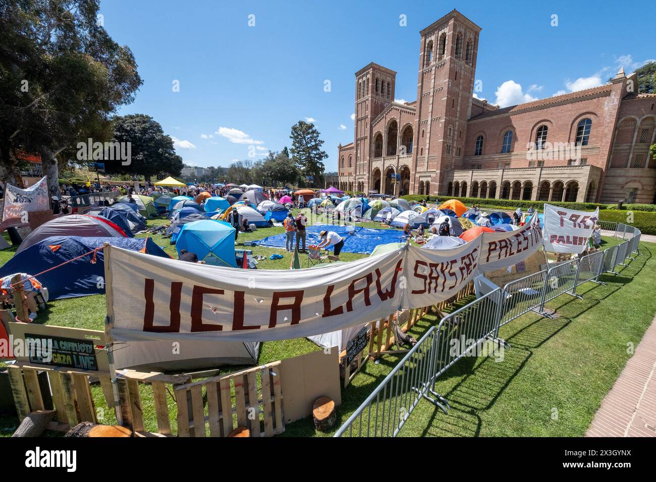 Ucla pro palestinian encampment hi-res stock photography and images - Alamy