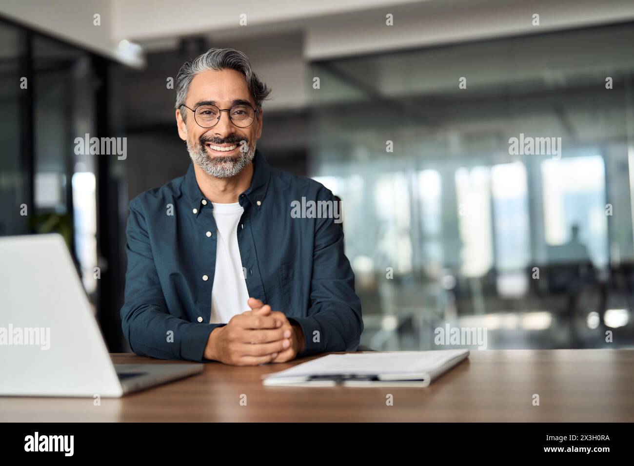 Happy middle aged older business man at office desk working on laptop ...