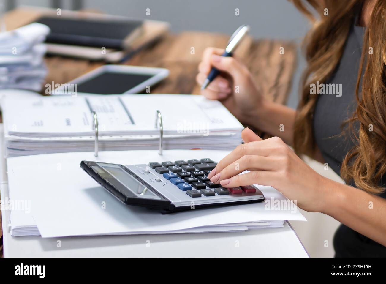Electronic invoice software for accountant salary finance management ...