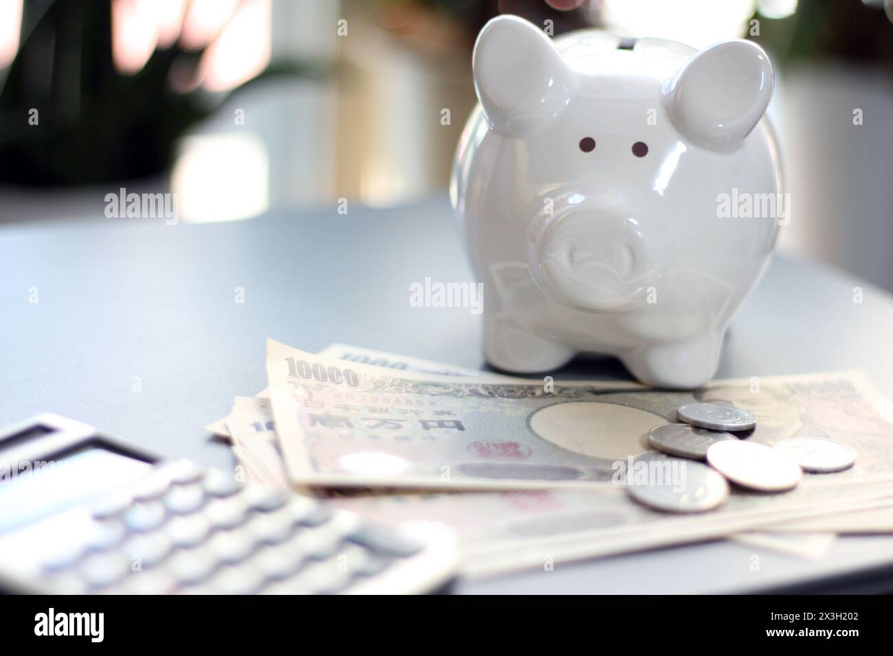 Real estate and finance concept with white piggy bank and Japanese ...