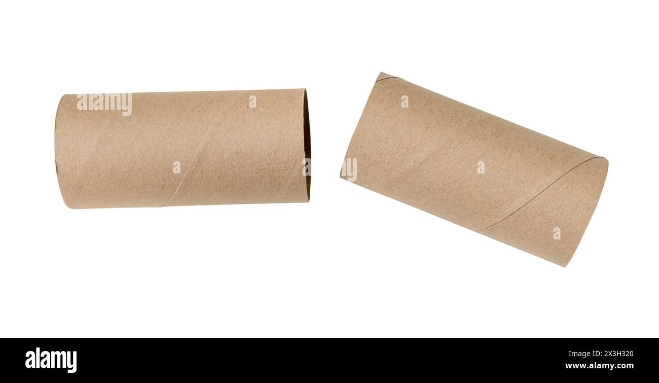 Top view set of tissue paper cores is isolated on white background with ...