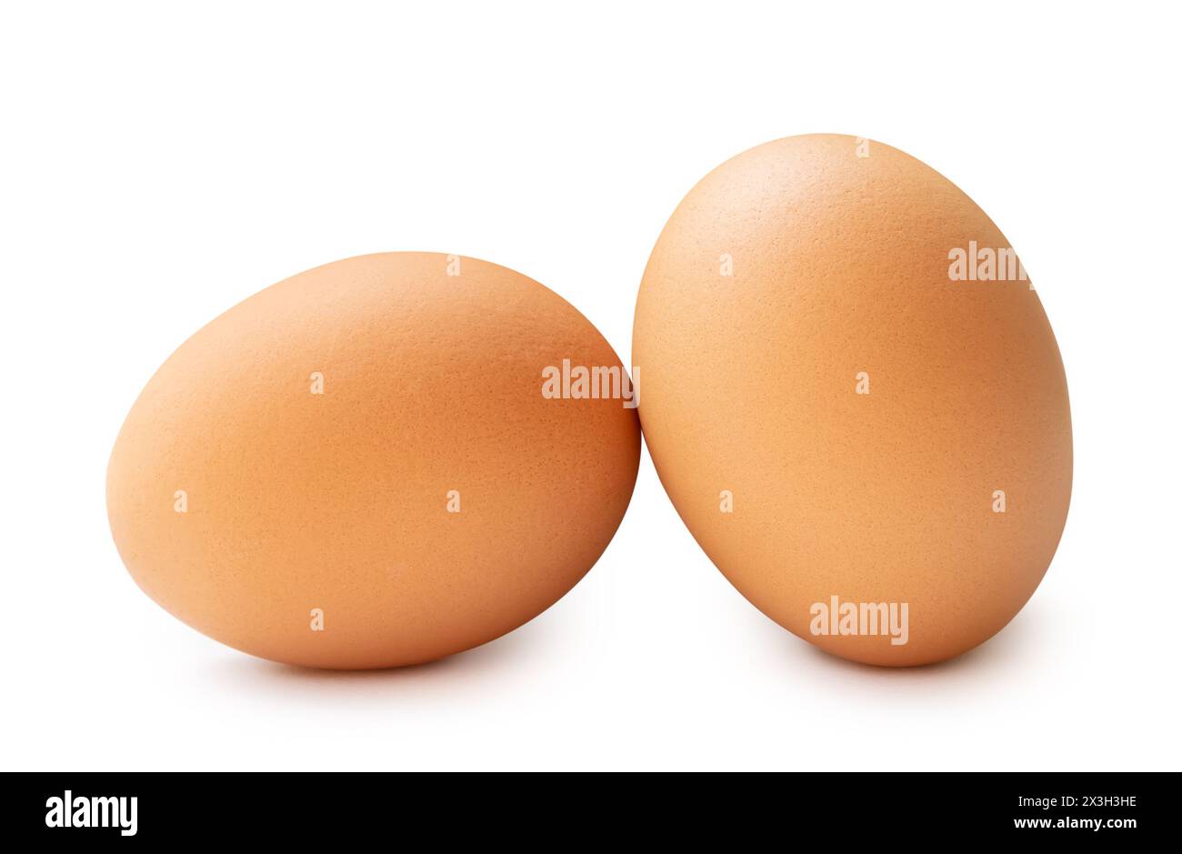 Front view of two brown chicken eggs is isolated on white background ...