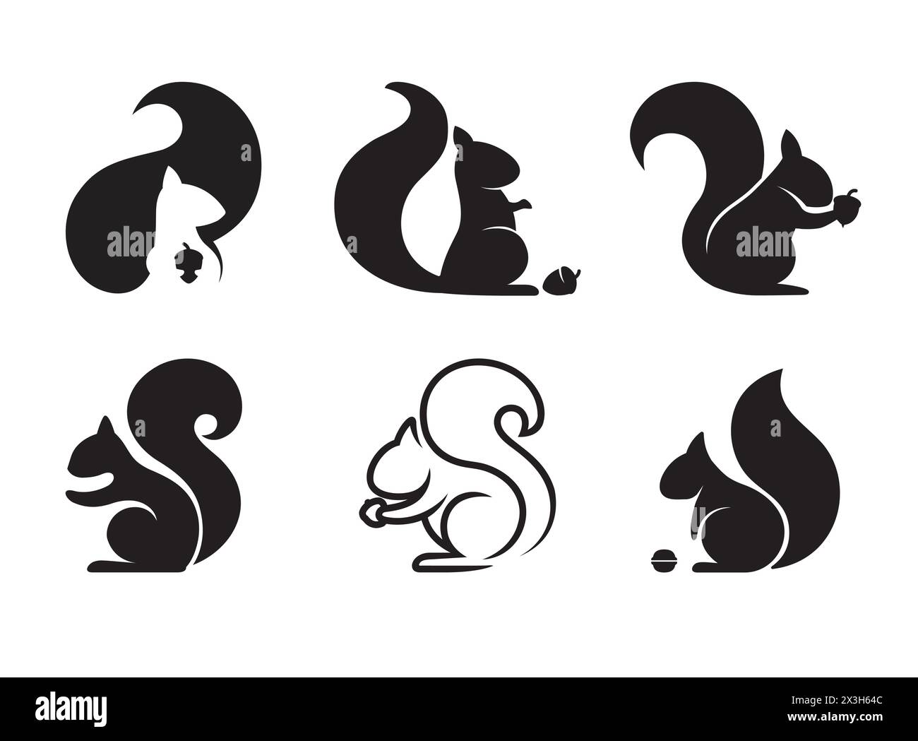 creative squirrel logo vector collection design icon symbol ...