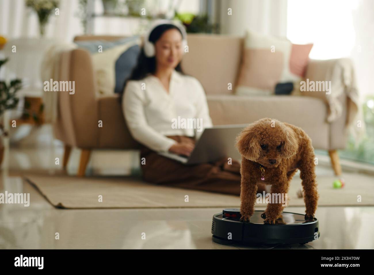 Woman clean computer vacuum cleaner hi-res stock photography and images ...