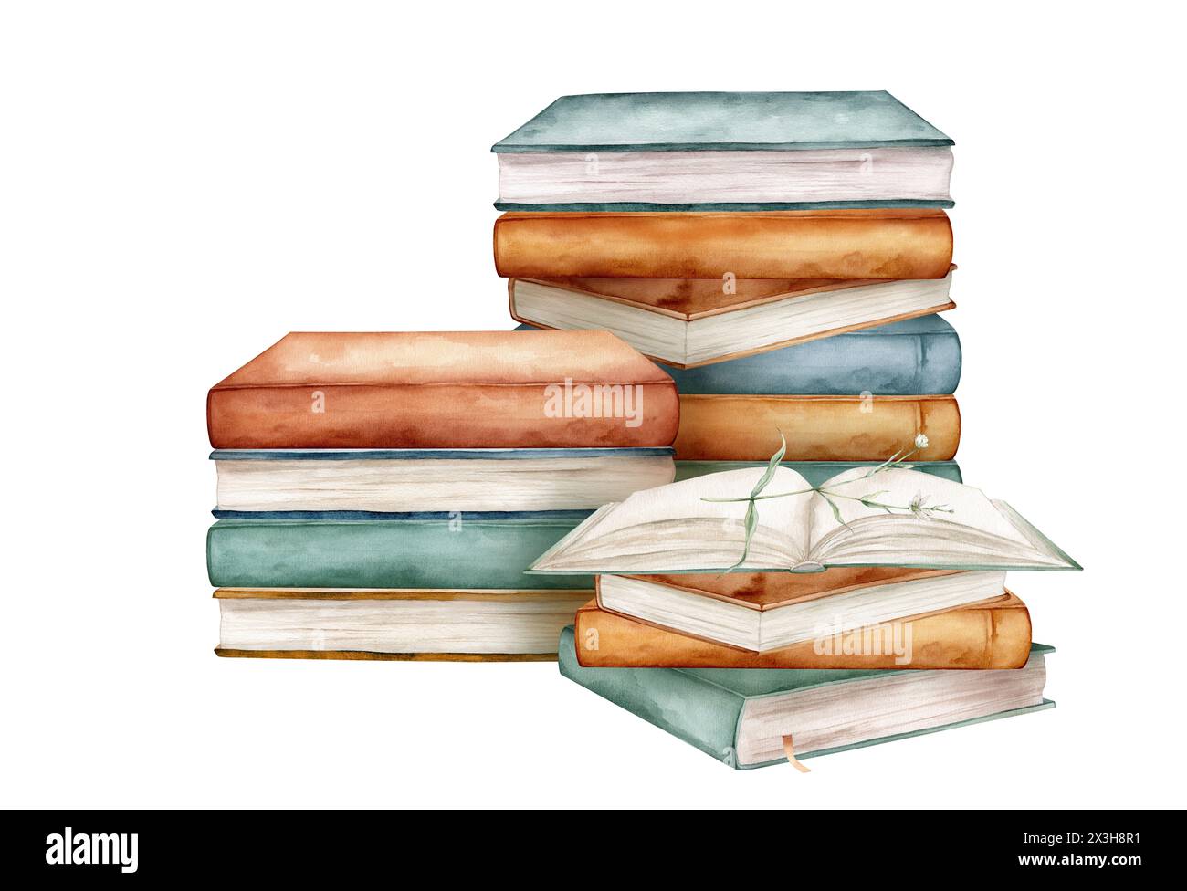 Set of books with plants and white flowers watercolor illustration ...