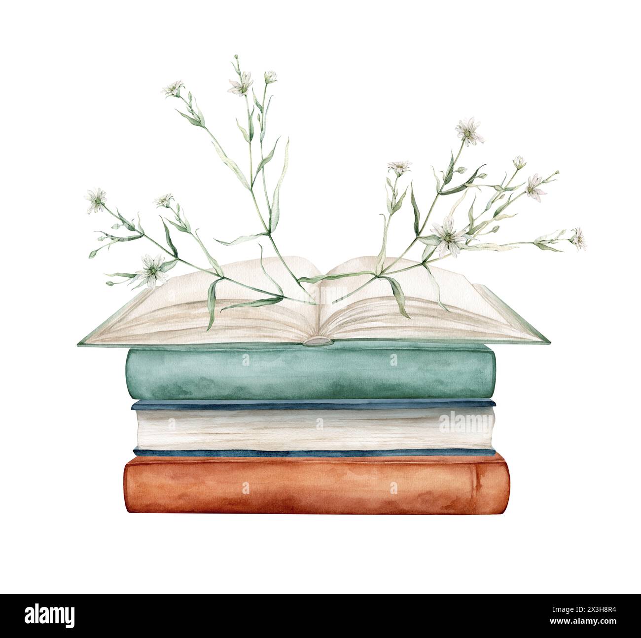 Set of books with plants flowers watercolor illustration isolated on ...