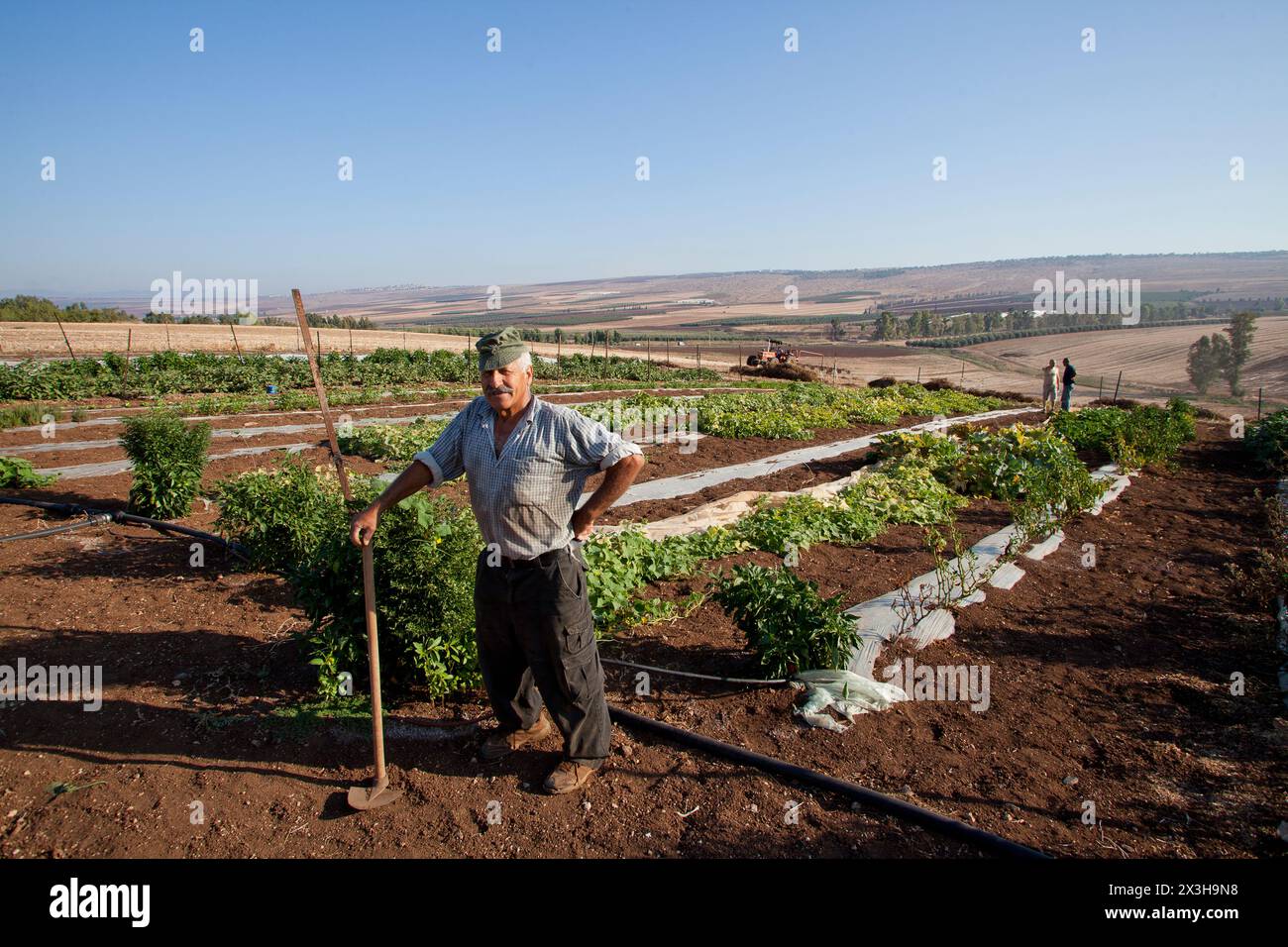 Farmer stands by his vegetable plot in the Galilee Israel Stock Photo ...