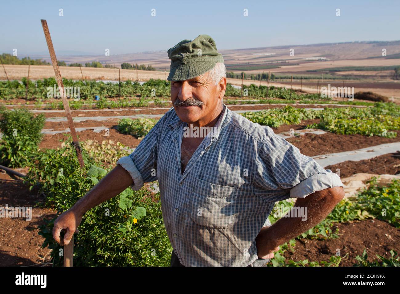 Farmer stands by his vegetable plot in the Galilee Israel Stock Photo ...