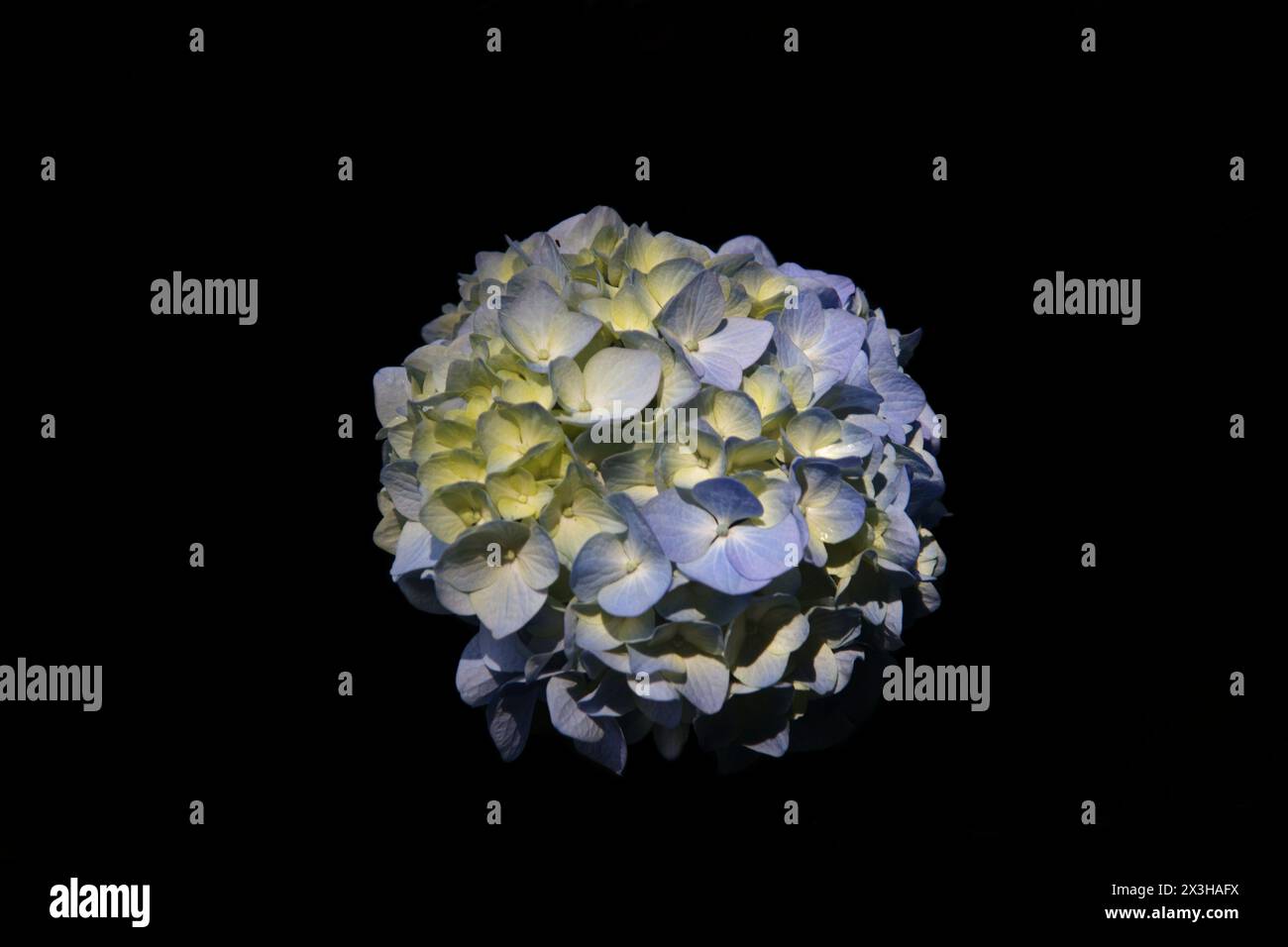 Acid soil hi-res stock photography and images - Alamy