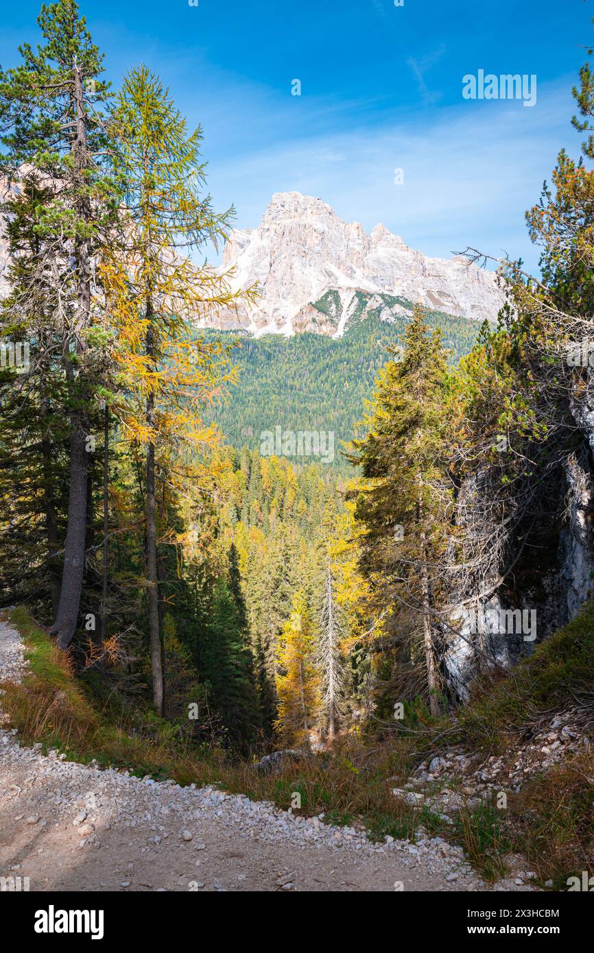 Beautiful viewing hole between spruce and larch trees on the majestic ...