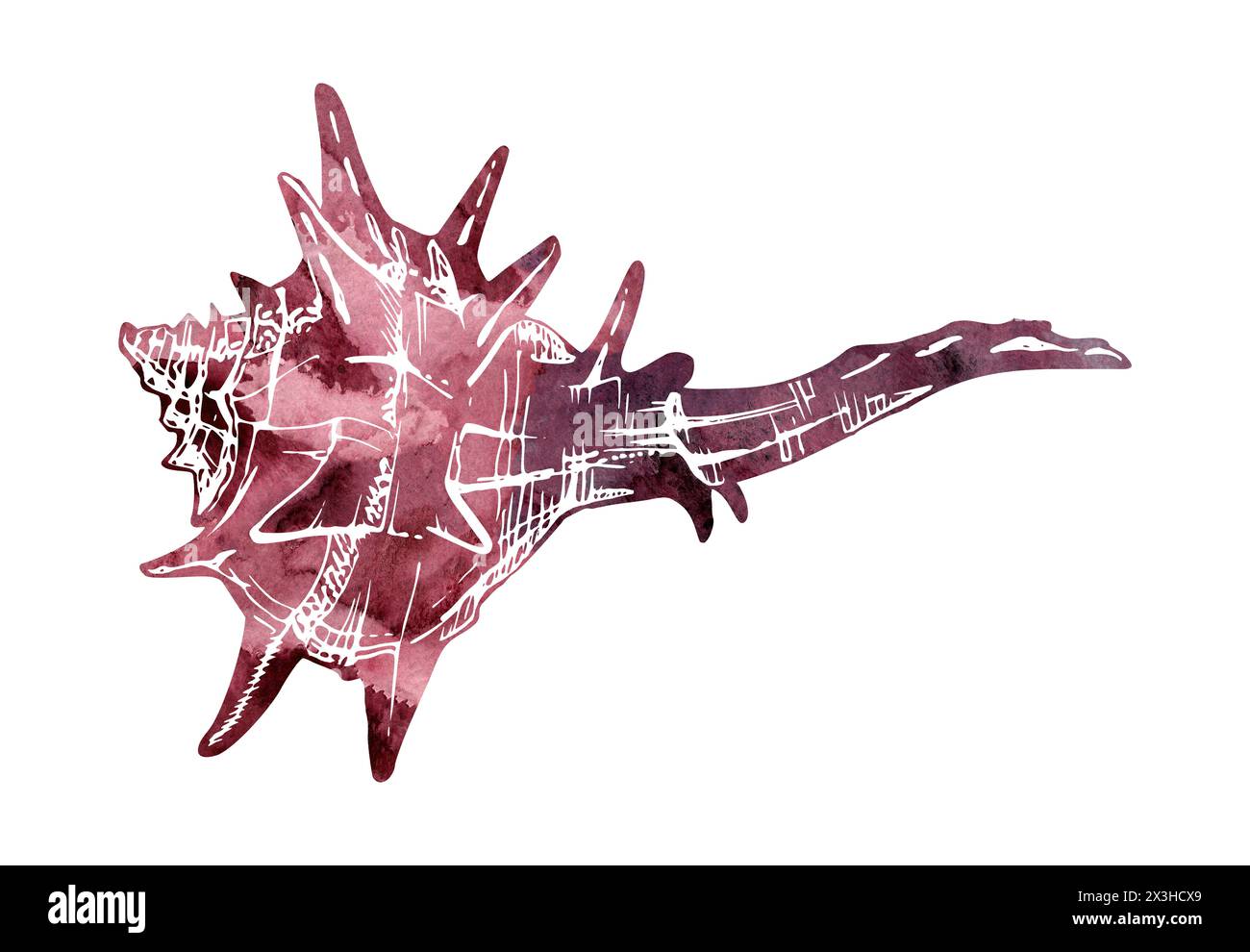 Watercolor and ink hand drawn marine life, sea ocean underwater ...