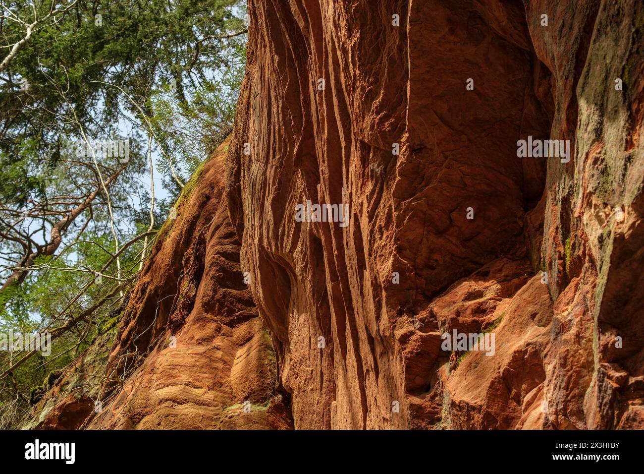 Licu langu majesty hi-res stock photography and images - Alamy