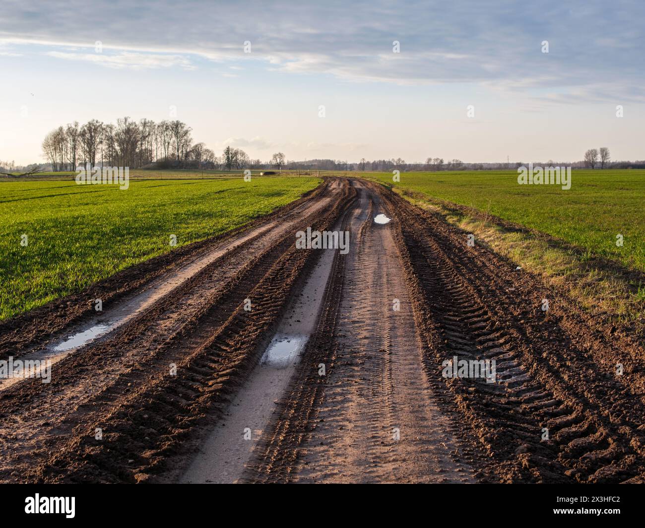 Navigating between two crop fields in Latvia, a muddy road tells the ...