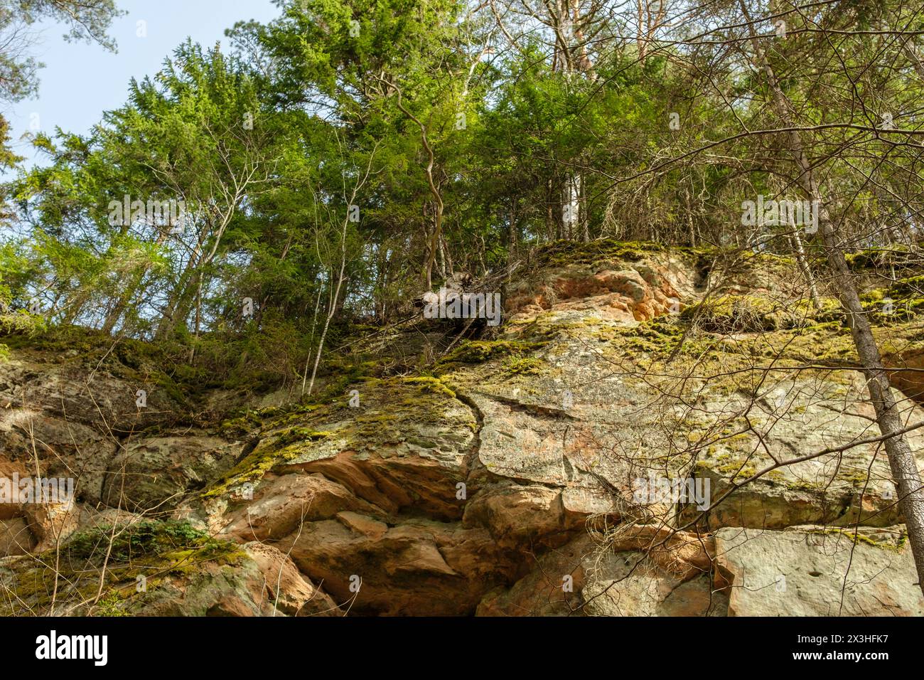 Licu langu hi-res stock photography and images - Alamy