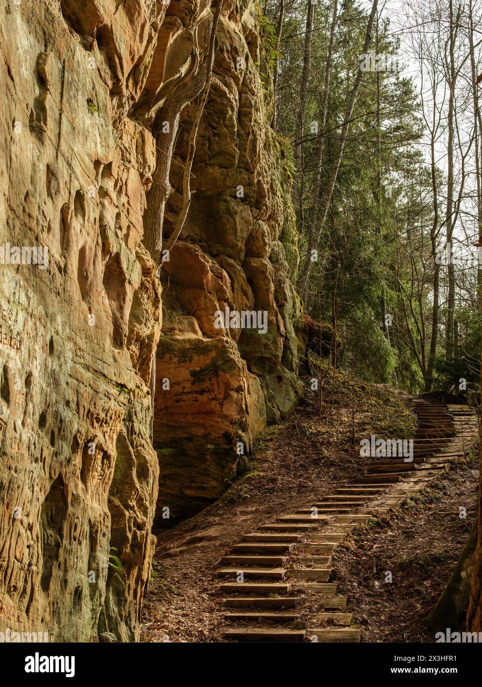 From the top of Licu-Langu cliffs in Latvia, the world unfolds in all ...