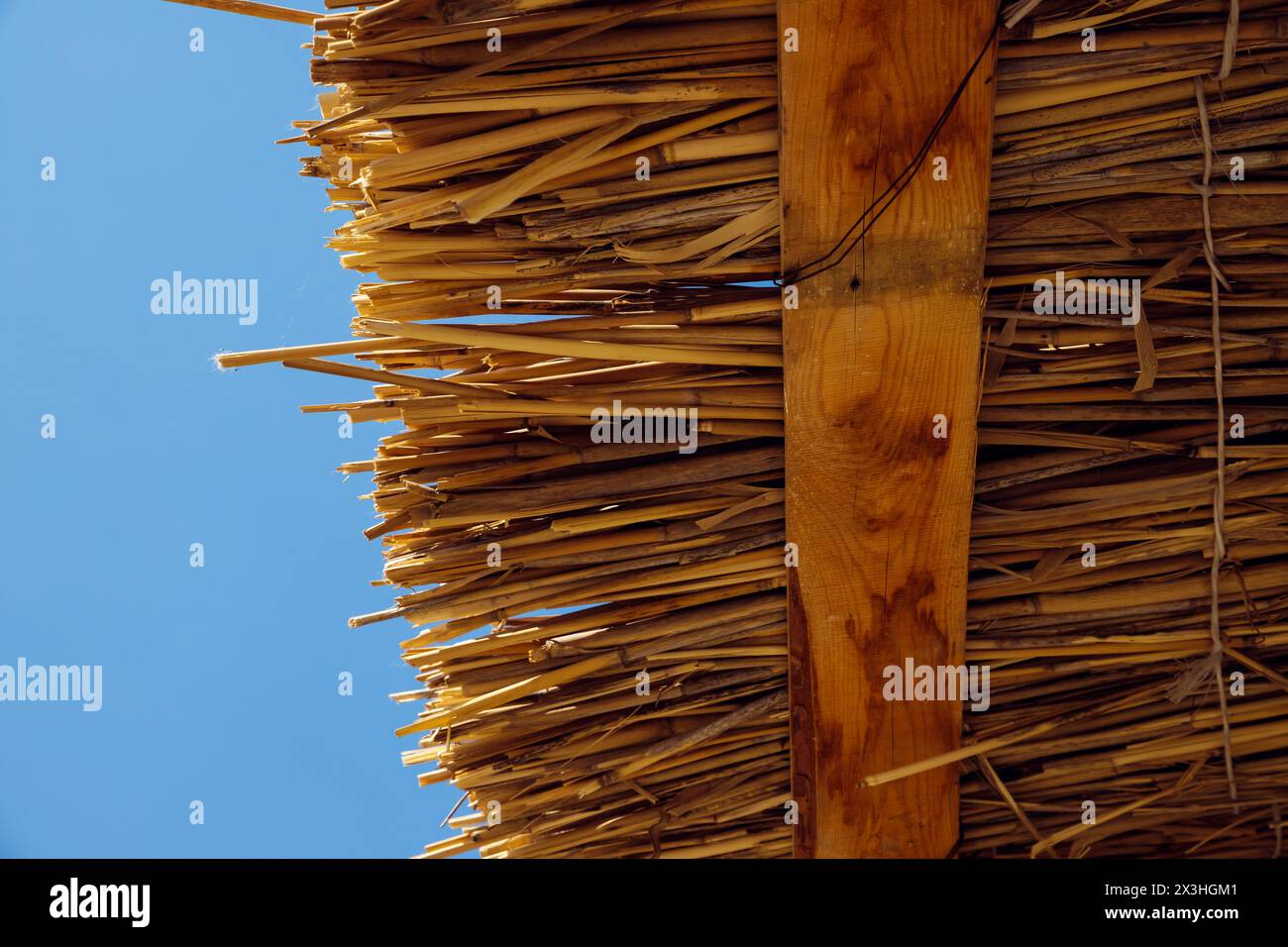 dry reed roof texture, thatched roof, palapa roof in blue sky. Wooden ...