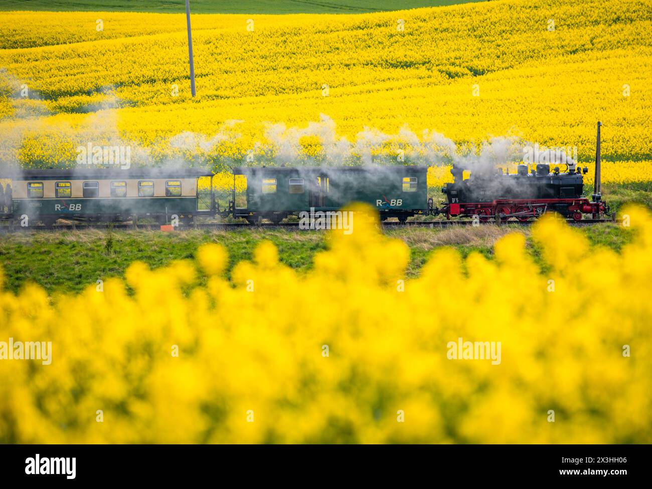 Posewald, Germany. 26th Apr, 2024. The steam locomotive 99 4801, built ...