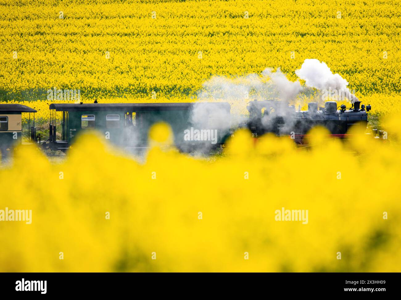 Posewald, Germany. 26th Apr, 2024. The steam locomotive 99 4801, built ...