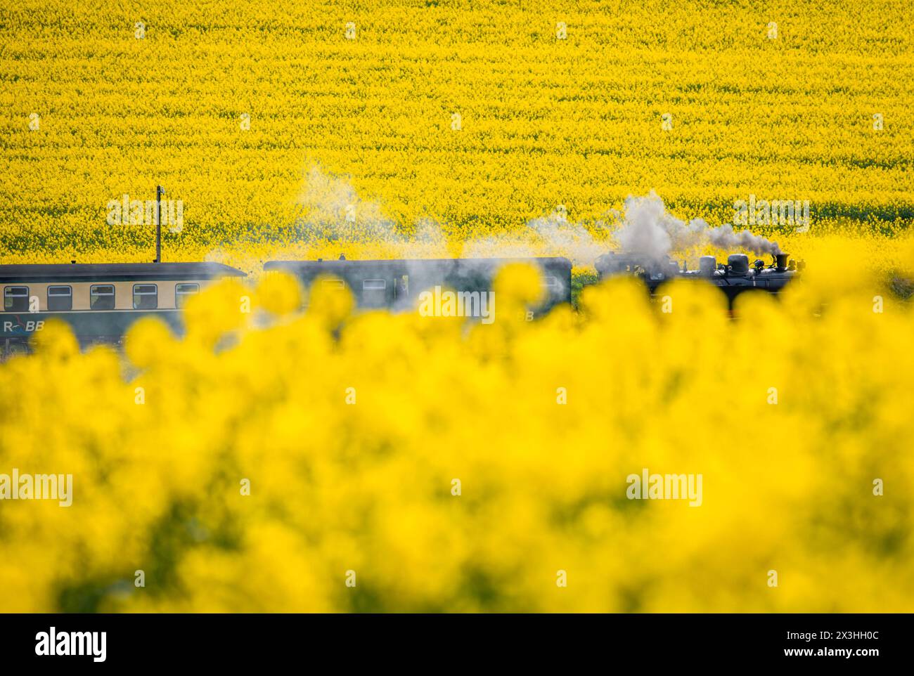 Posewald, Germany. 26th Apr, 2024. The steam locomotive 99 4801, built ...