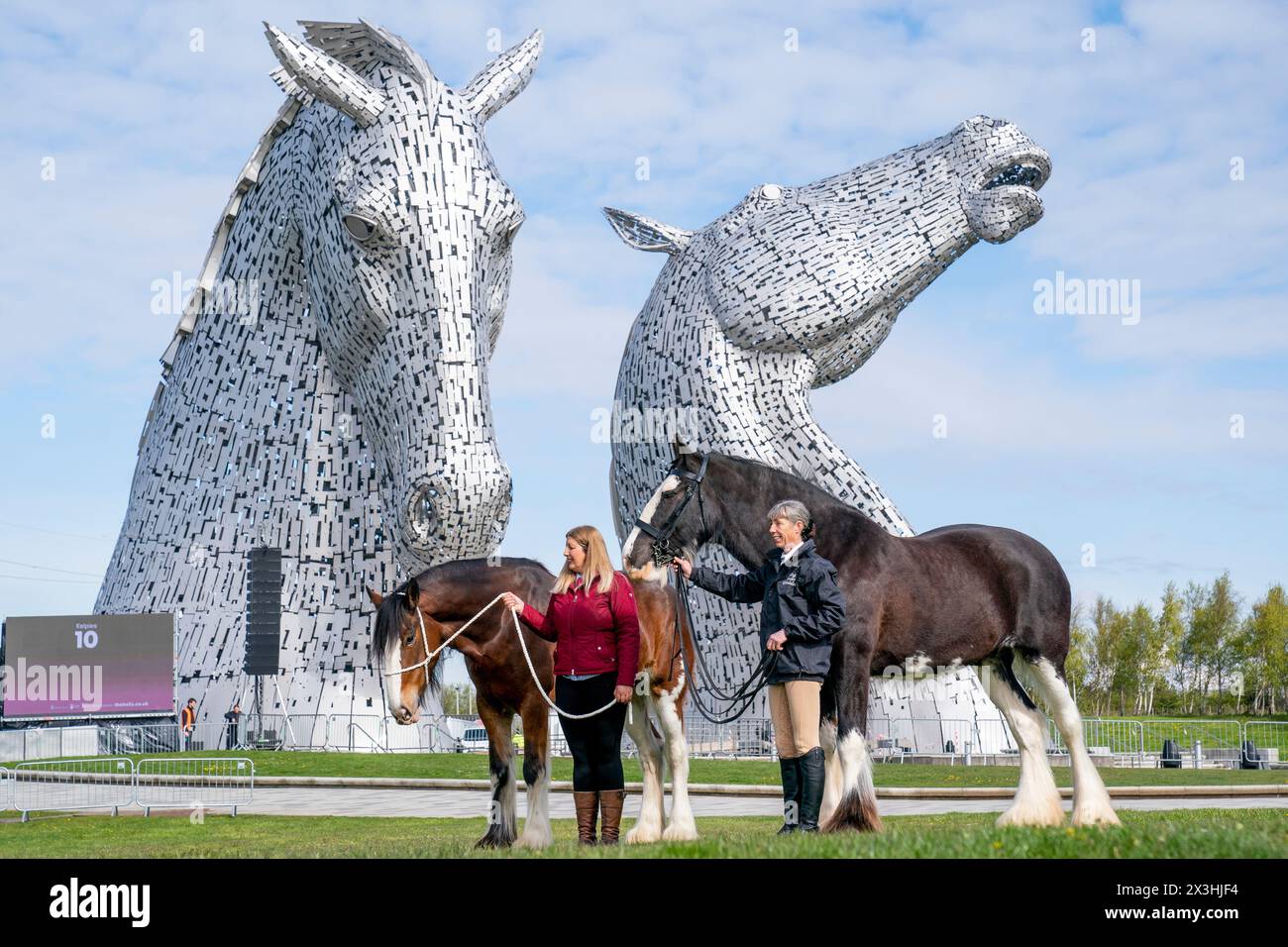 Kelly Stirling (left) and Amanda Merchant (right) with Clydesdale ...