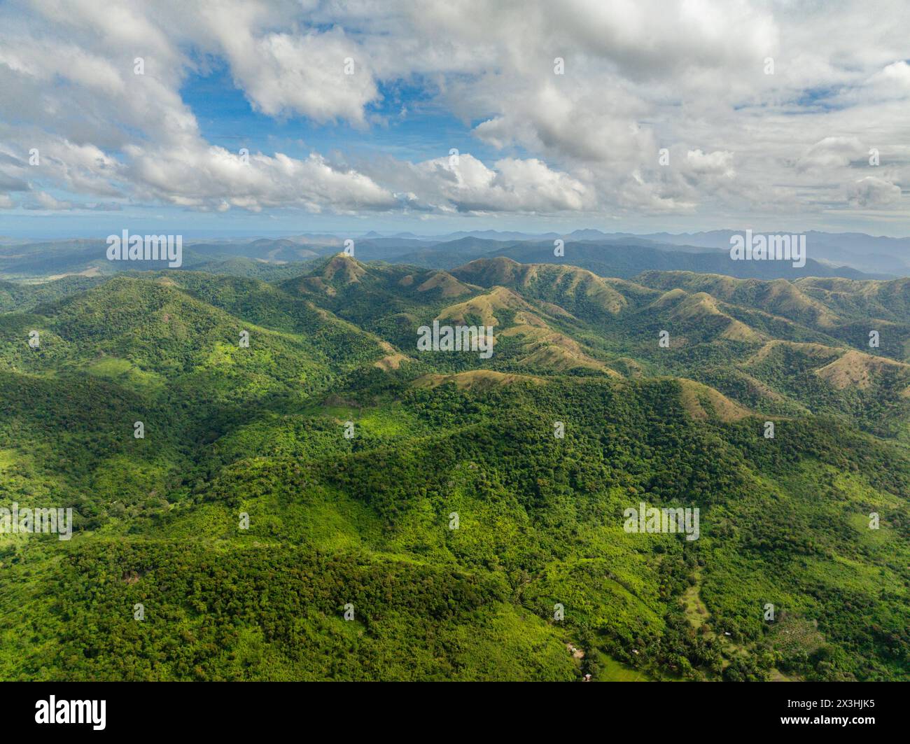 Mountains and green hills. Slopes of mountains with evergreen ...