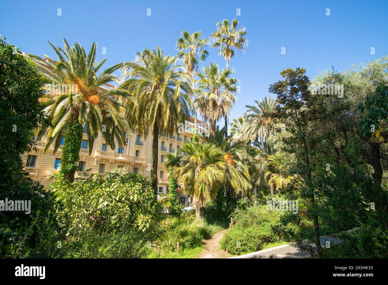 Palm tree buildings nice hi-res stock photography and images - Alamy