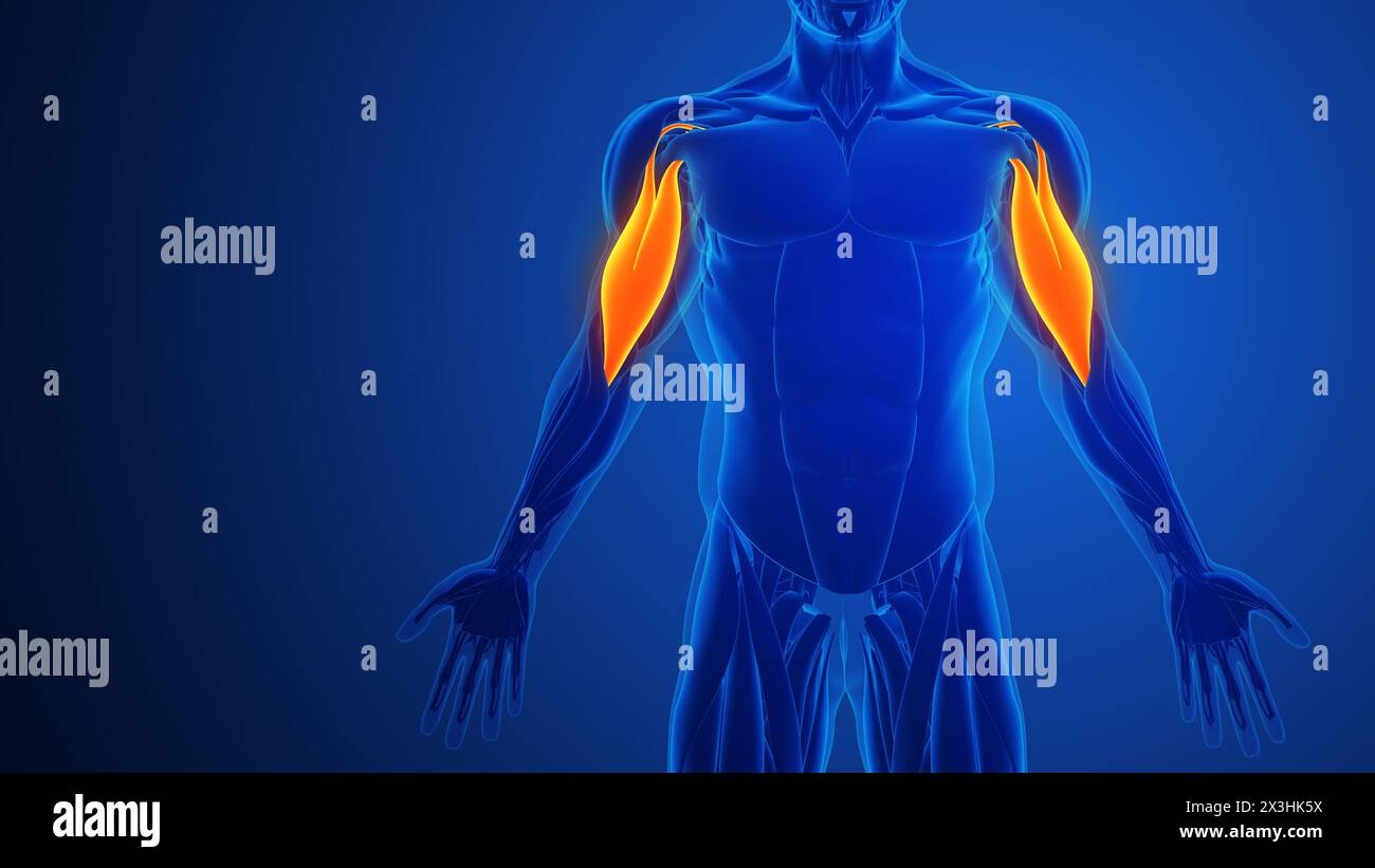 Pain chart hi-res stock photography and images - Alamy