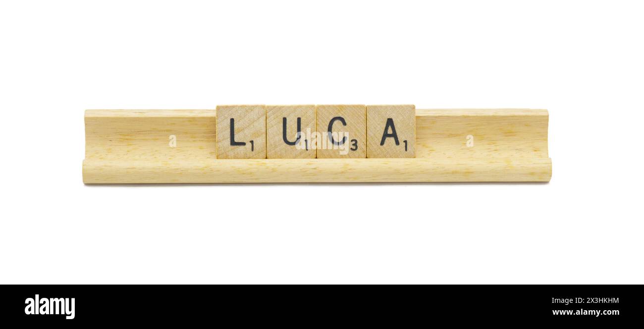 Miami, FL 4-18-24 popular baby boy first name of LUCA made with square ...