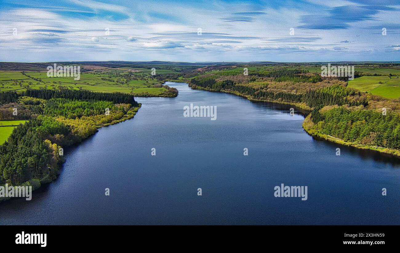 Aerial view of a serene lake surrounded by lush forests and open fields ...