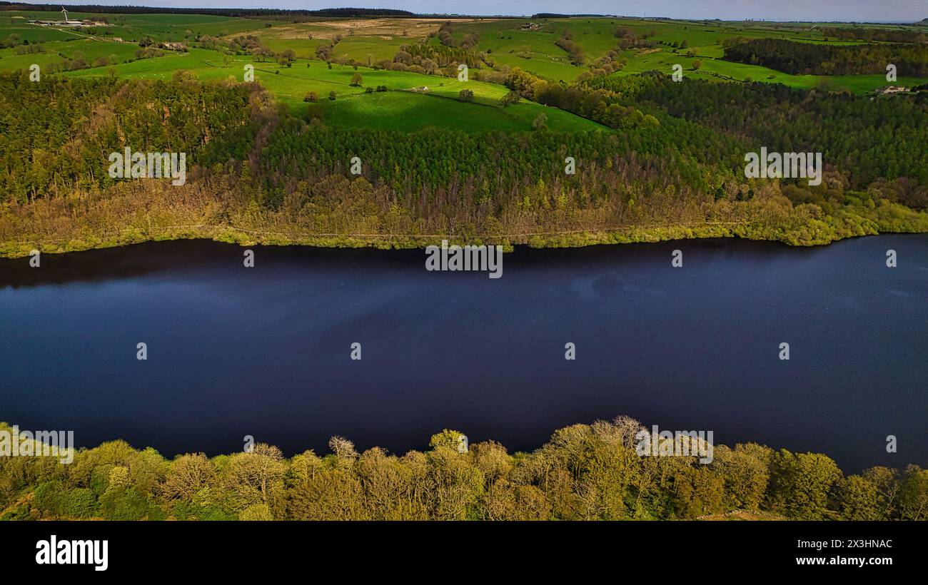 Aerial view of a serene lake surrounded by lush green forests and ...