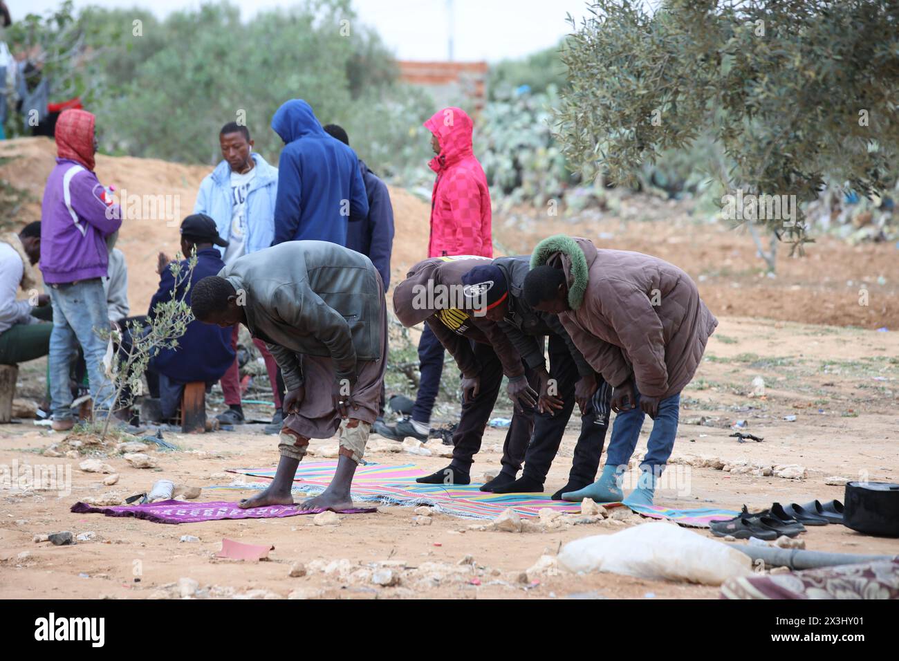 Jebeniana hi-res stock photography and images - Alamy