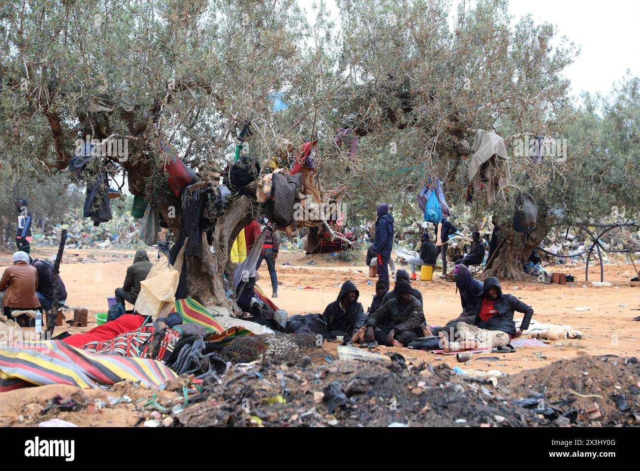 El Amra, Tunisia. 26th Apr, 2024. Migrant from Sub-Saharian Africa ...