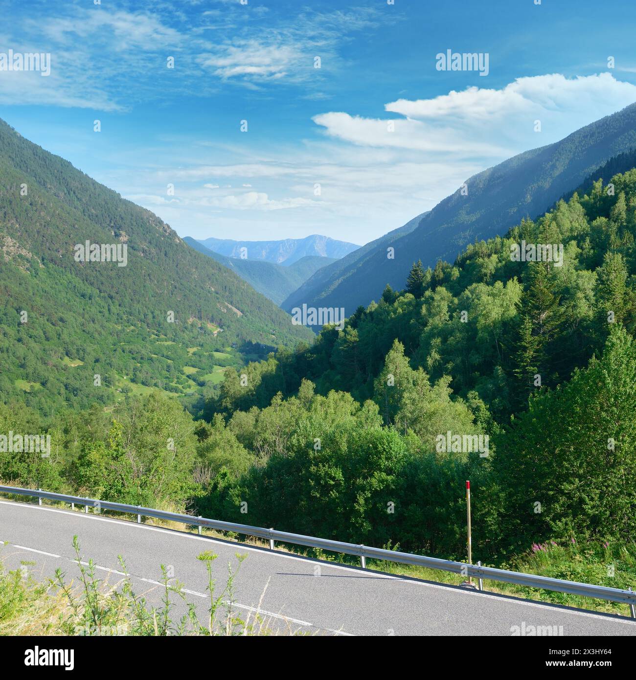 Asphalt path way tree hi-res stock photography and images - Alamy