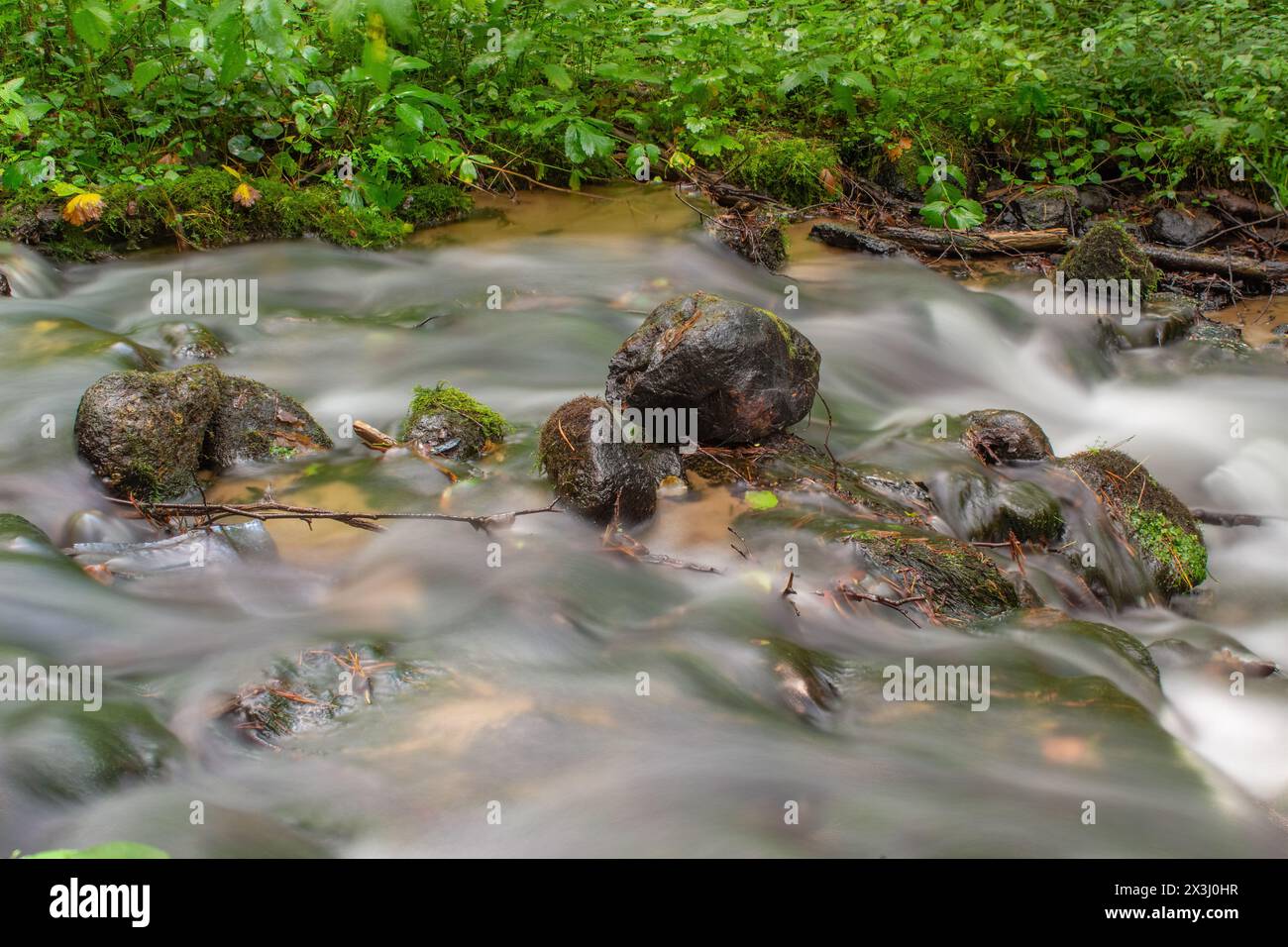 Stream water flowing through stones Stock Photo - Alamy