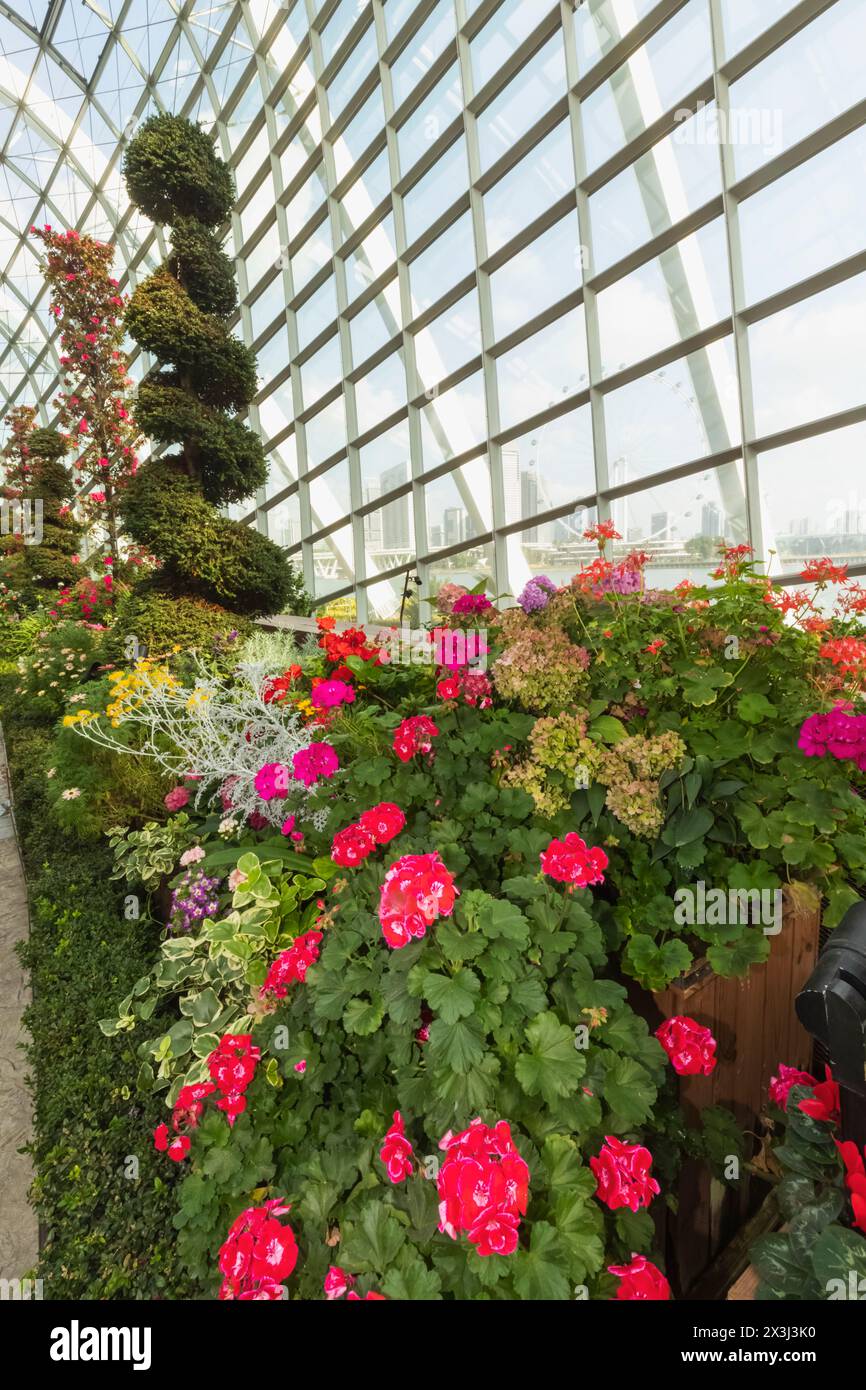 Asia, Singapore, Gardens by the Bay, Flowers in Bloom Inside the Flower ...
