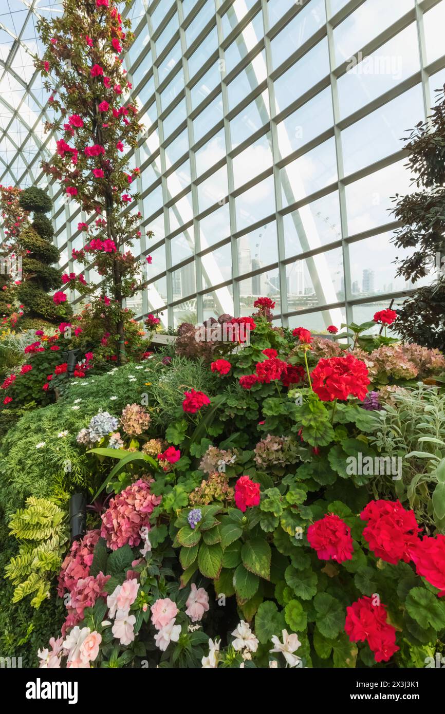 Asia, Singapore, Gardens by the Bay, Flowers in Bloom Inside the Flower ...